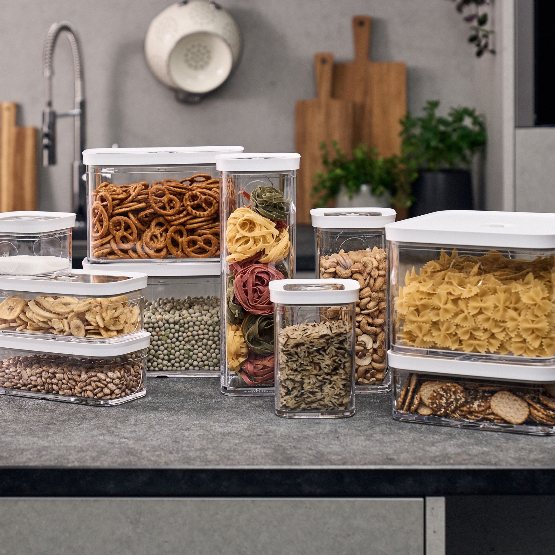 ZWILLING - CUBE Box 2L | FRESH & SAVE | Plastic